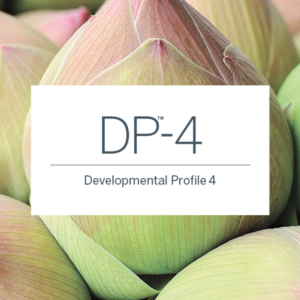 Developmental Profile 4 Archives - PAA