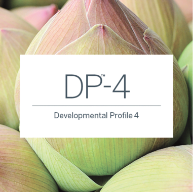 Developmental Profile 4 Archives - PAA